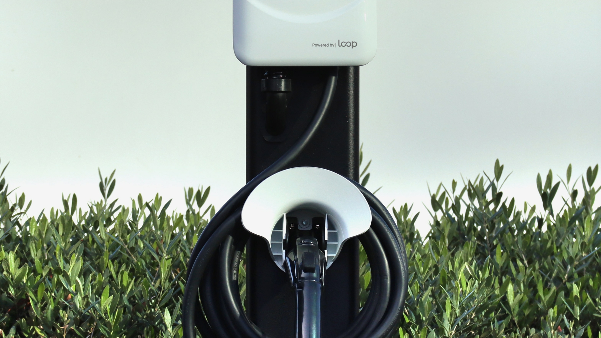 Mullen Automotive Partners With Loop Global to Deploy EV Charging ...