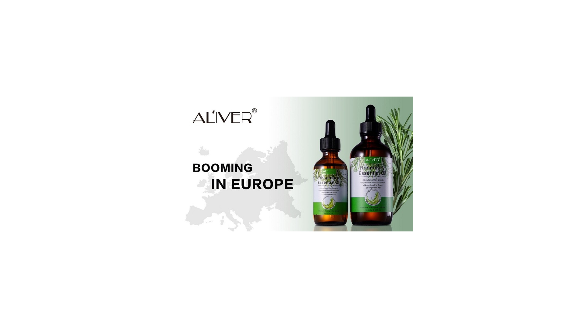 In Early 2023, Aliver Rosemary Essential Oil Sparks a Boom in Europe ...